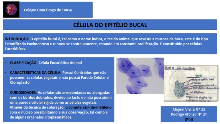 Características e estrutura das células do epitélio bucal | PDF