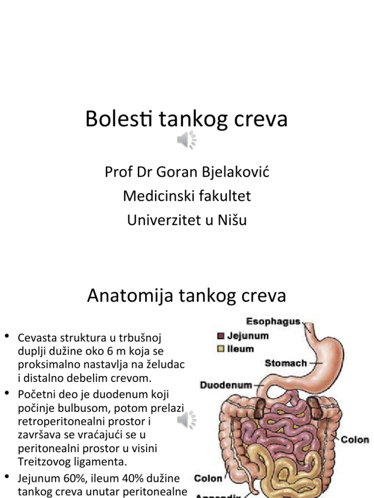 2020 Bolesti Tankog Creva | PDF