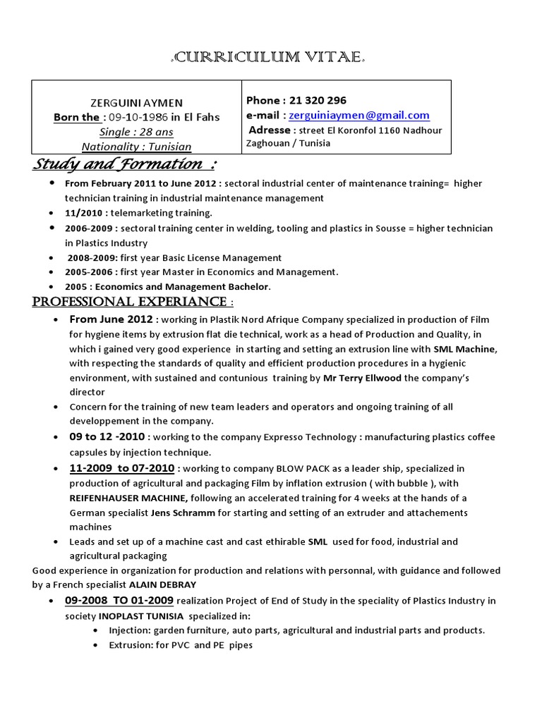 Curriculum Vitae 2 - English | PDF | Secondary Sector Of The Economy