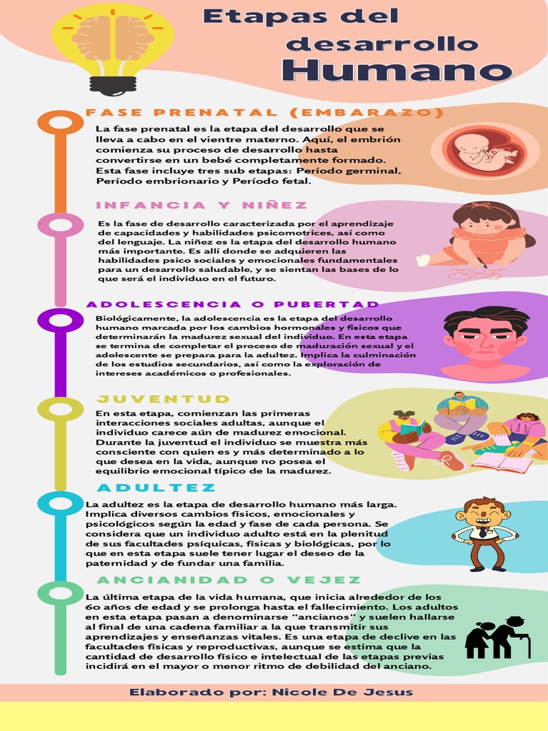 Etapas Del Desarrollo Humano | PDF