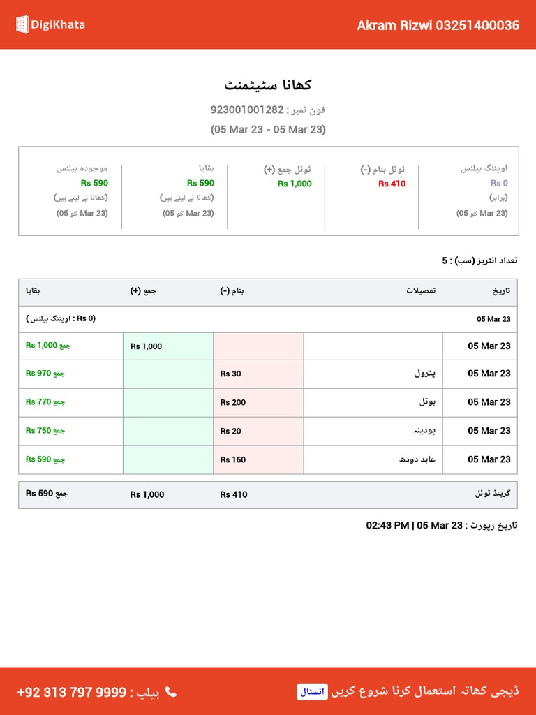 Customer Ledger Report 1678009390771 | PDF