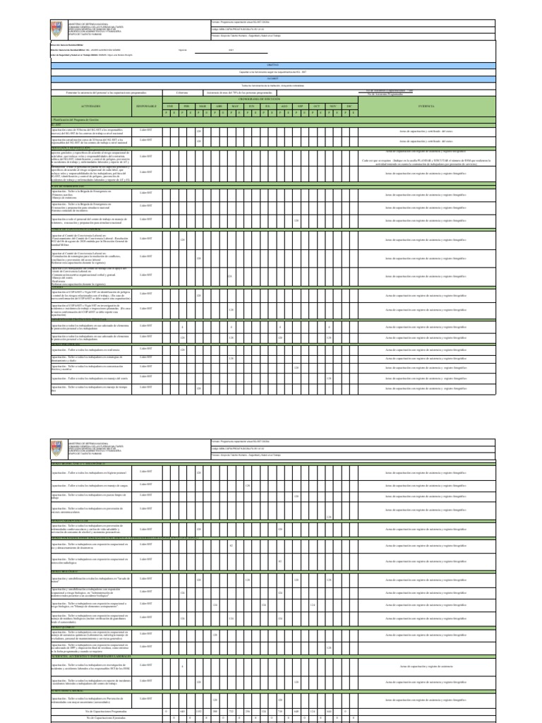 Programa de Capacitación Anual en SG - SST DIGSA | PDF | La seguridad ...