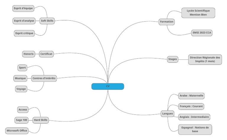 CV Mindmap Yassine Baali | PDF