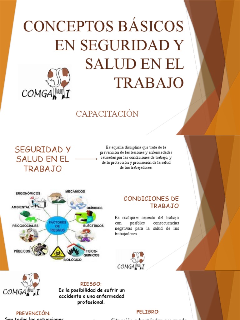 Capacitación Conceptos Básicos en Seguridad y Salud en El Trabajo | Descargar gratis PDF ...