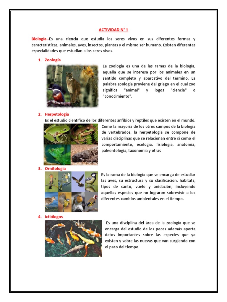 Biologia | PDF | Biología | Zoología