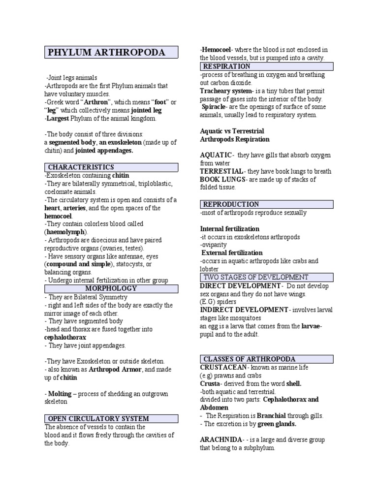 Phylum Arthropoda Transes | PDF | Arthropods | Zoology
