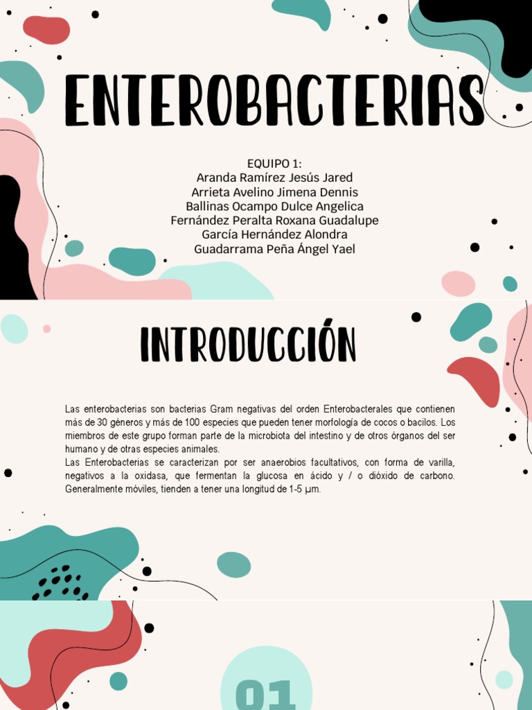 Enterobacterias 3 | PDF | Neumonía | Infección
