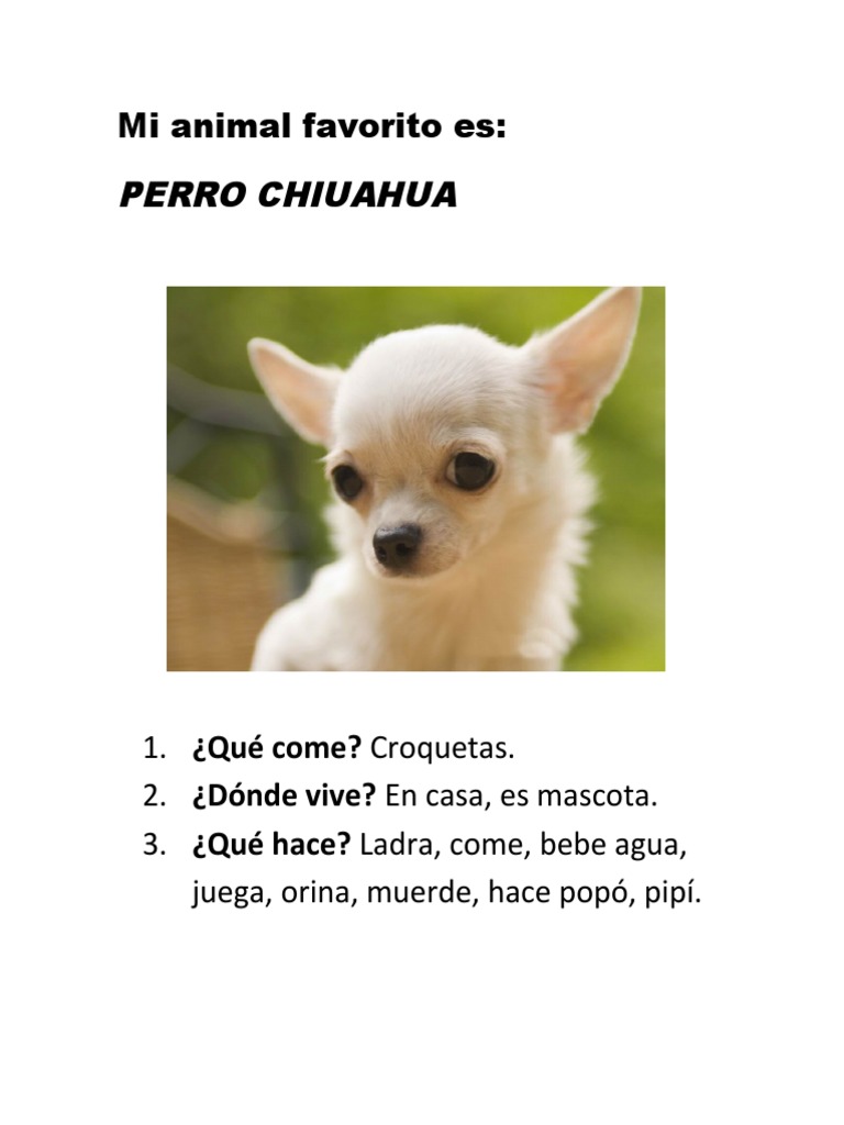 Mi Animal Favorito Es | PDF