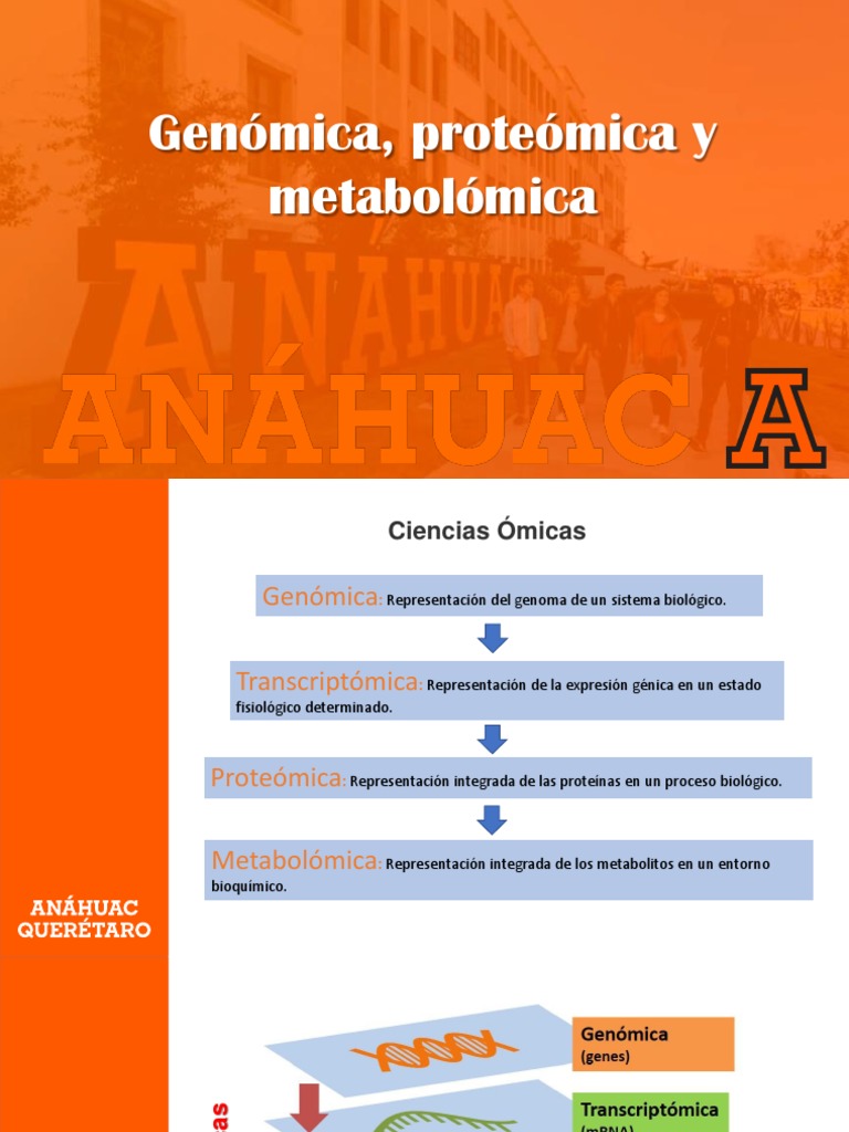 Genomica, Proteómica y Metabolómica | PDF | La metabolómica | Genoma