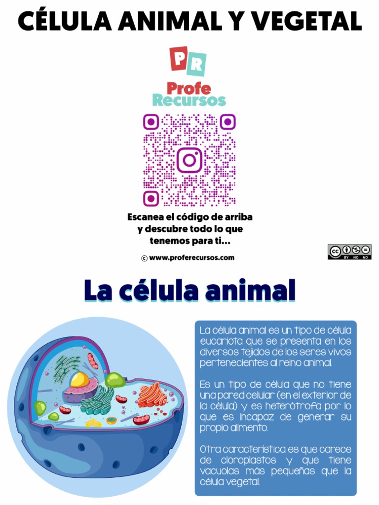 Celula Animal y Vegetal | PDF