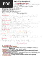 Skloňovanie Slova Pani-Podstatne Mená ŽR Končiace Na - Ea | PDF