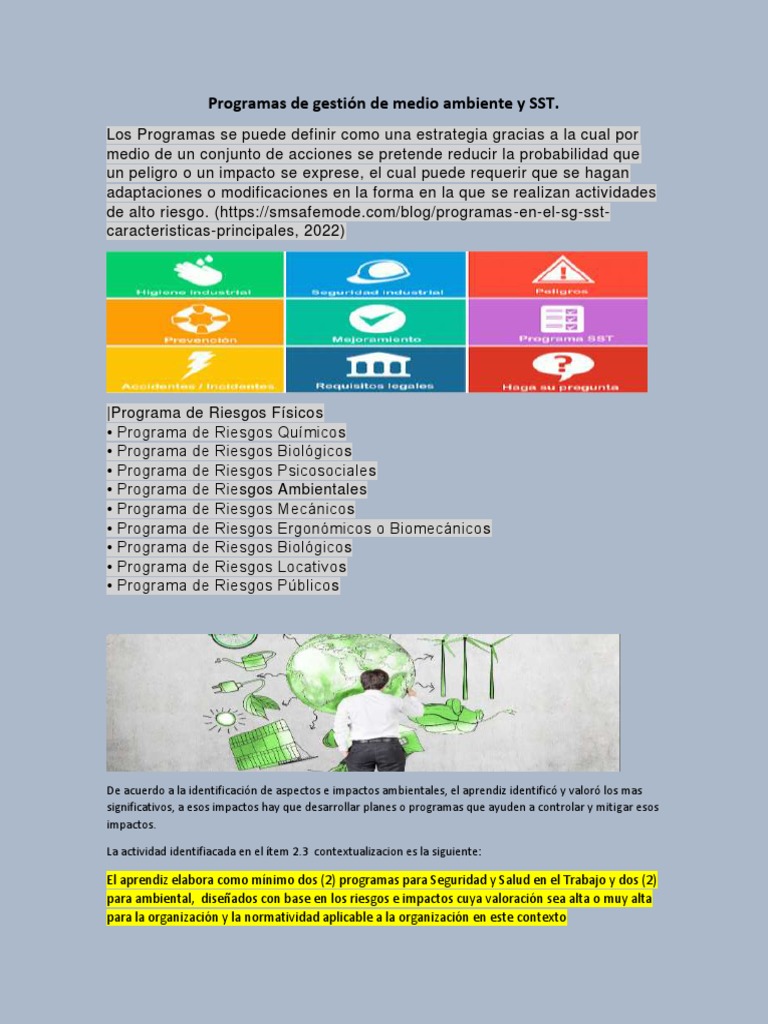 Actiividad Territorun Programas de Gestión de Medio Ambiente y SST | PDF