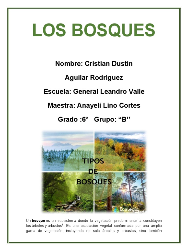 Los Bosques | PDF | Los bosques | Arboles