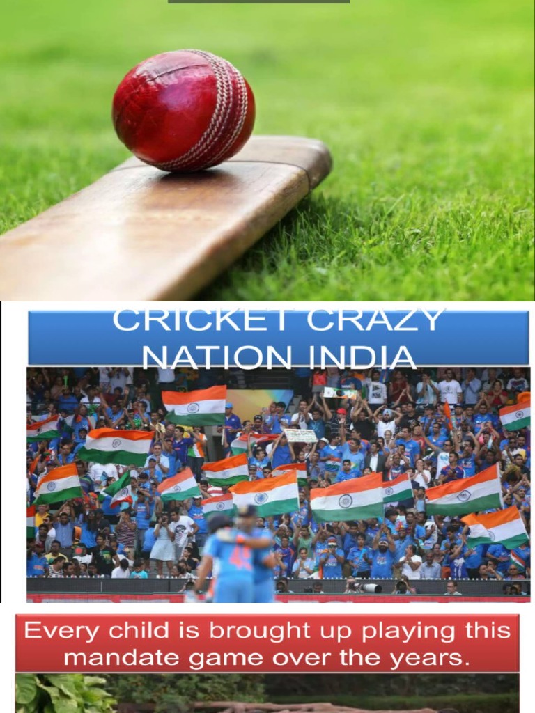 Cricket | PDF