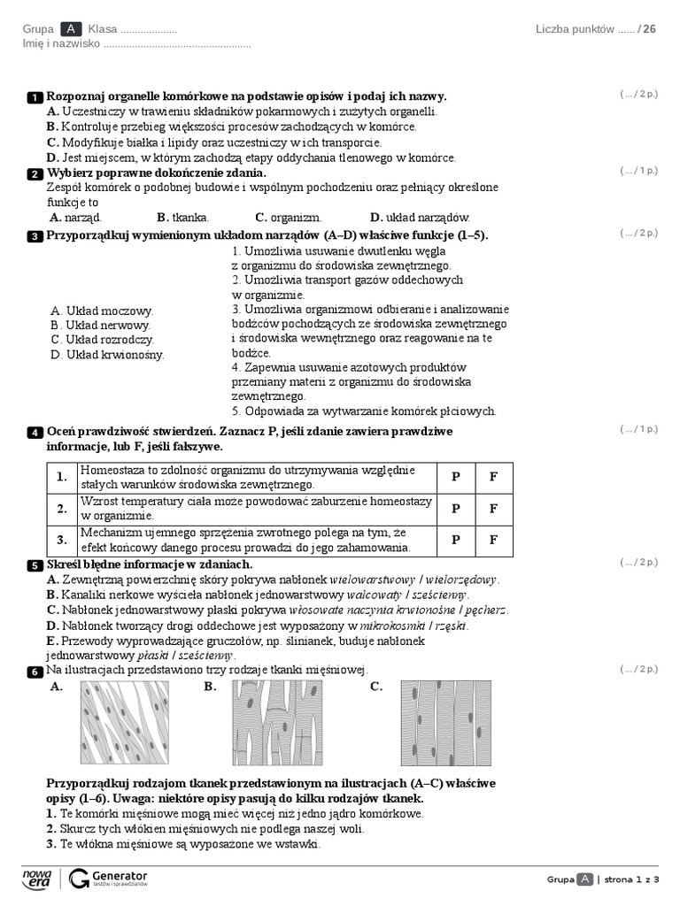 Test Eko | PDF
