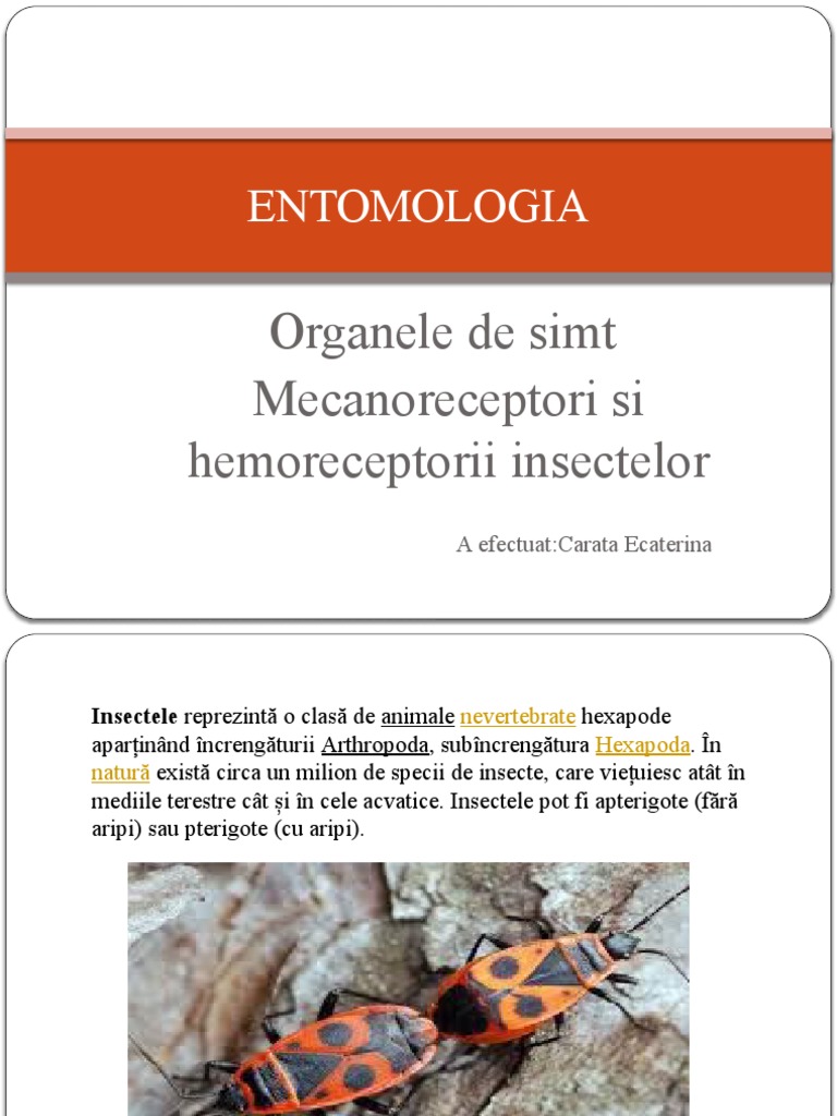 ENTOMOLOGIA Carata Ecaterina | PDF