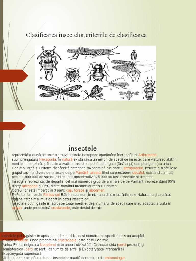 Insecte | PDF