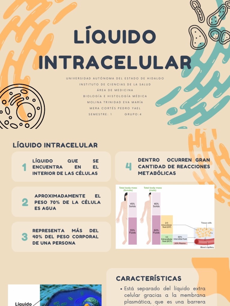 Exposición de Líquido Intracelular_Mera Cortés Pedro Yael | PDF ...