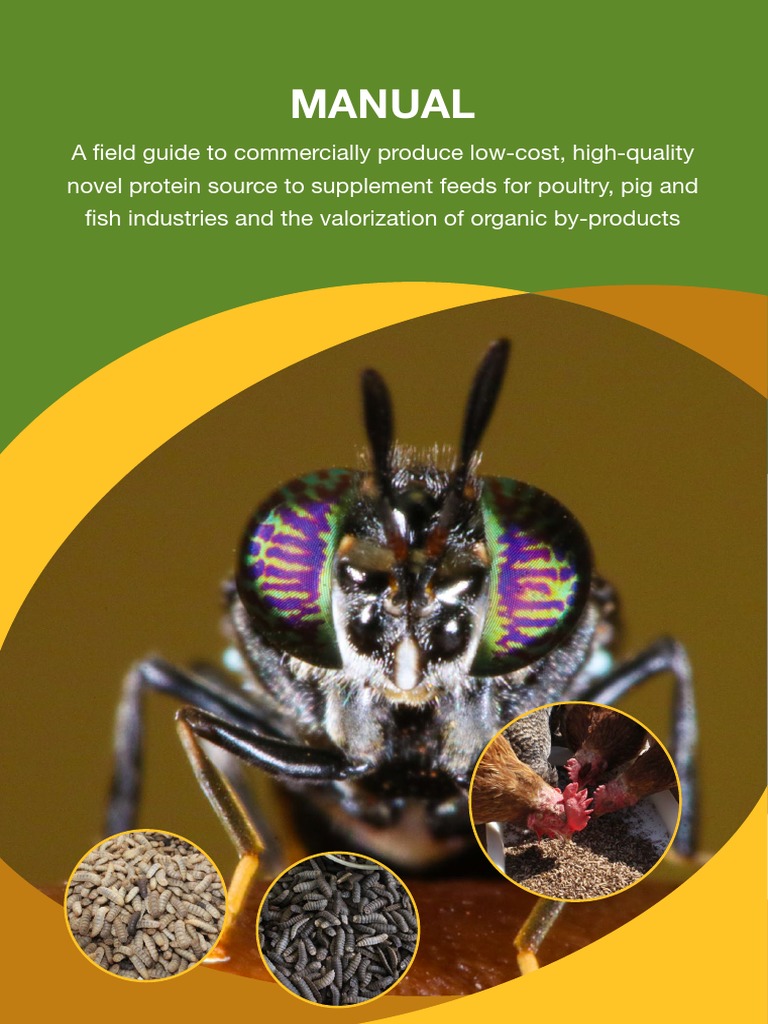 Black Soldier Fly Farming Manual Guide | PDF | Fly | Pupa