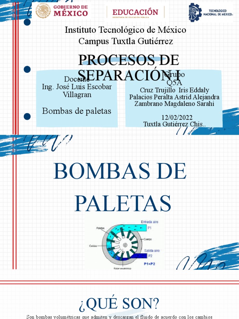 Bombas de Paletas | Descargar gratis PDF | Bomba | Descarga (hidrología)