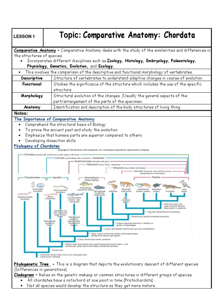 Lesson 1 Comparative Anatomy | PDF | Vertebrates | Morphology (Biology)