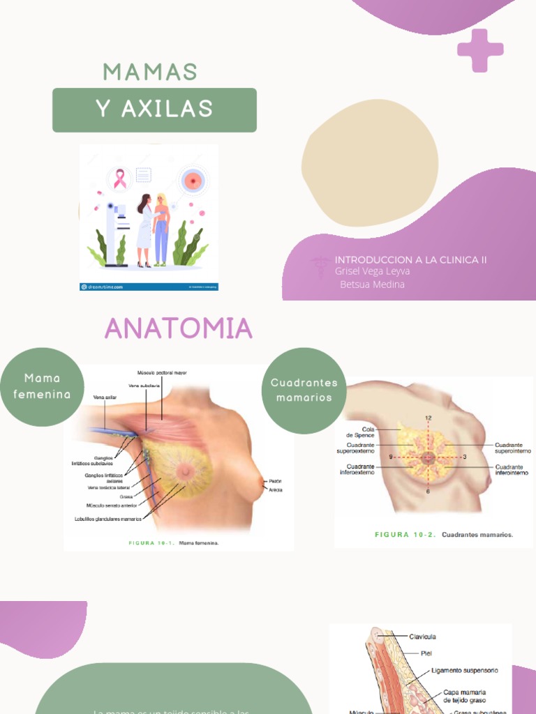 Exploracion de Mamas y Axilas | PDF | Pecho | Órgano (anatomía)