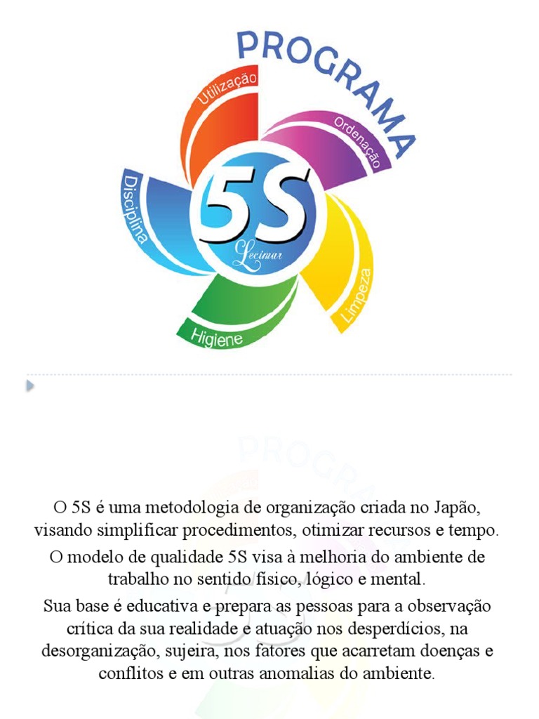 Programa 5s | PDF | Business