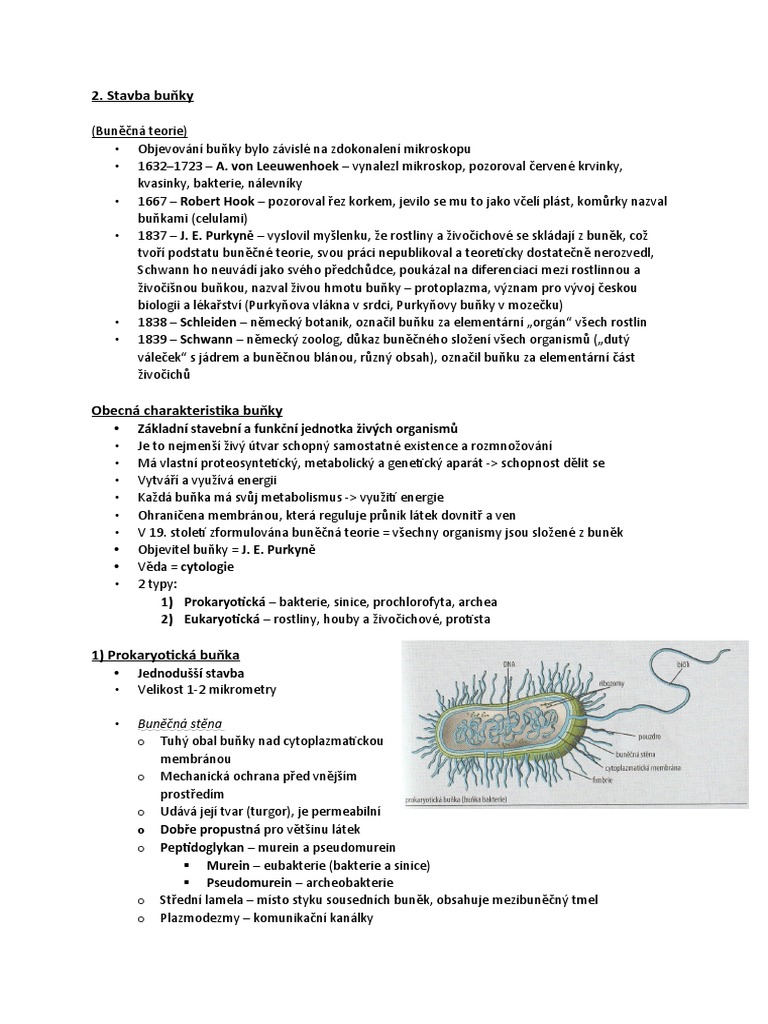 2 Stavba Buňky | PDF