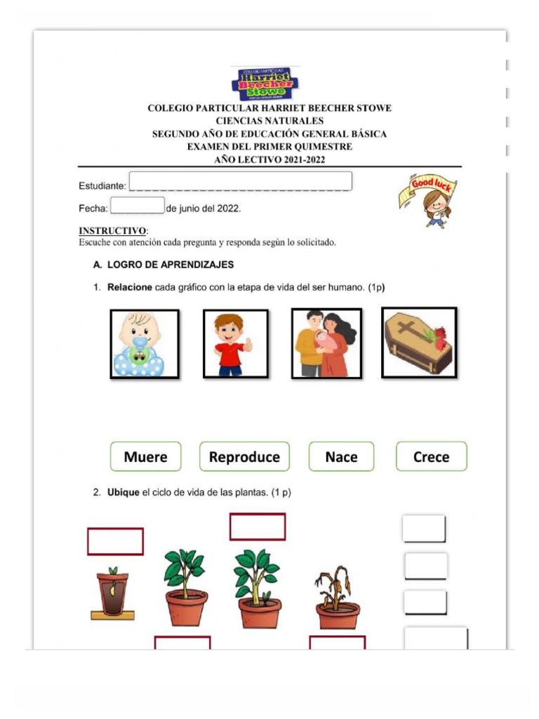 Ficha Interactiva de Ciclo de Vida de Los Seres Vivos | PDF