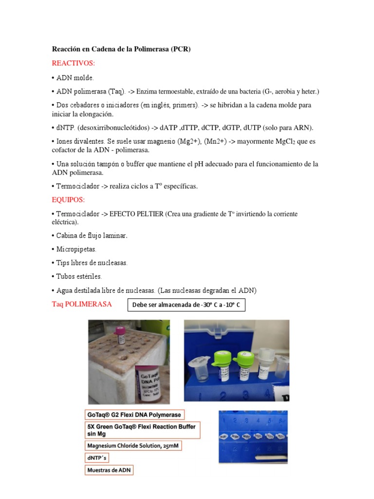 Reacción en Cadena de la Polimerasa (PCR): Una Descripción Detallada de ...