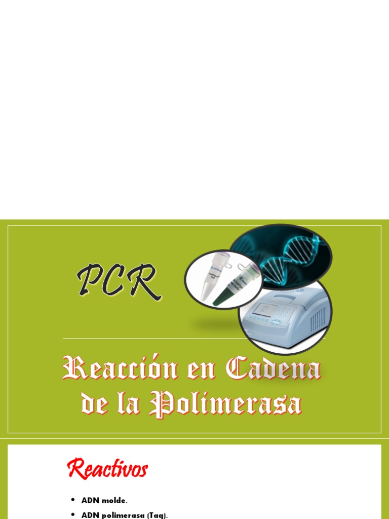 Tipos de PCR | PDF | Reacción en cadena de la polimerasa | Ácidos nucleicos