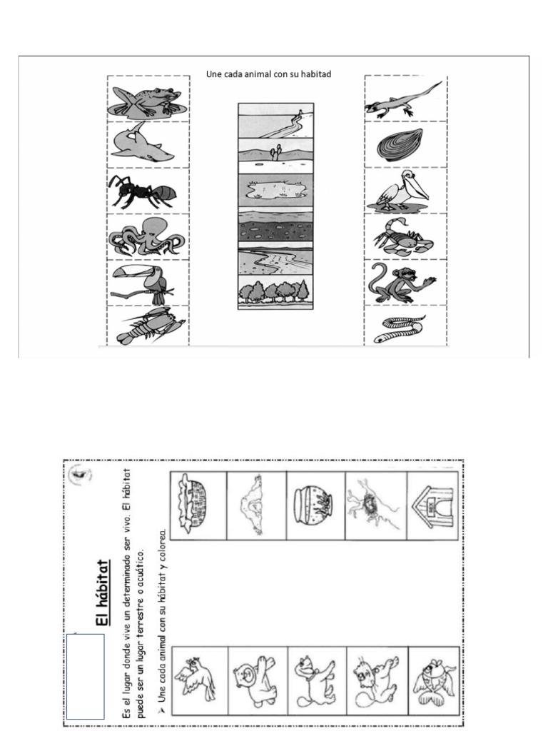 Animales y Su Habitat | PDF