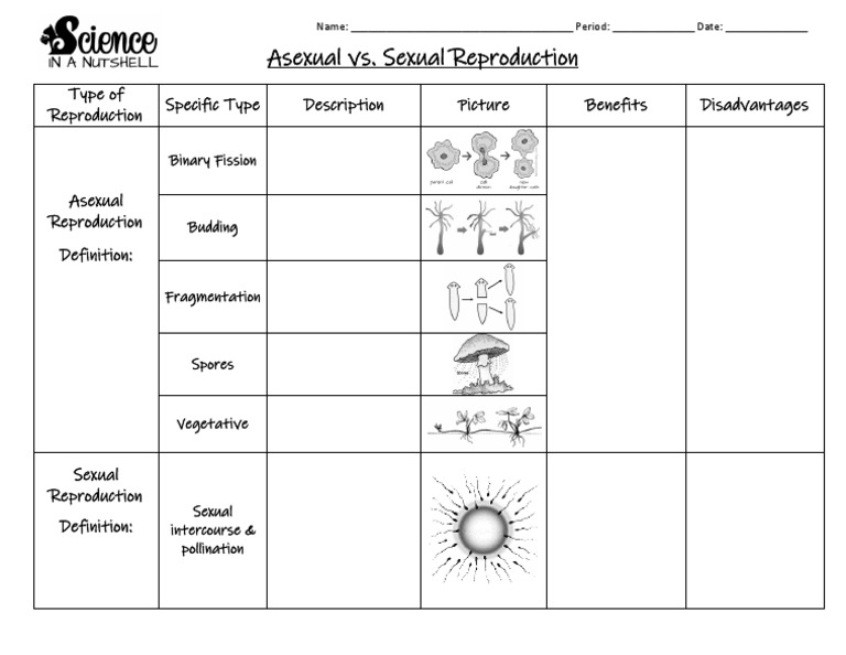 Asexual Vs Sexual Reproduction Type Of Reproduction Specific Type Description Picture Benefits