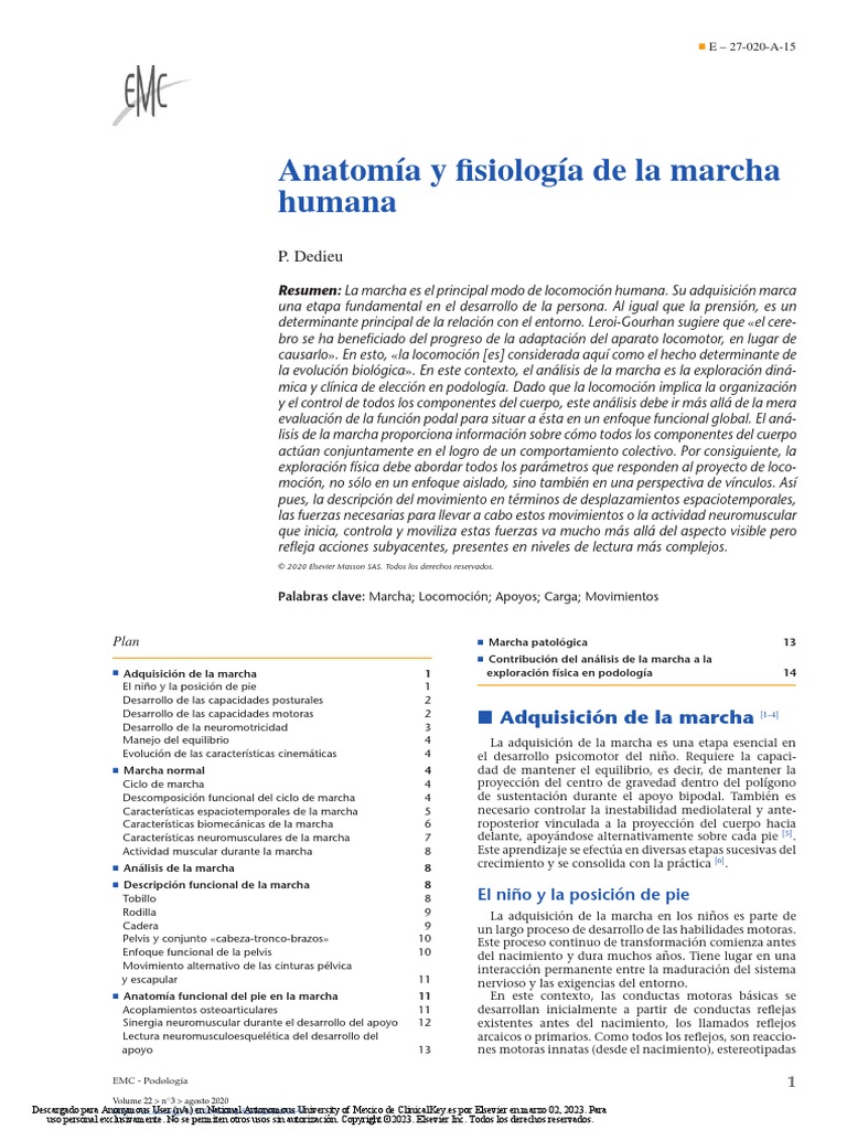 Marcha 2 | PDF | Tobillo | Cerebro