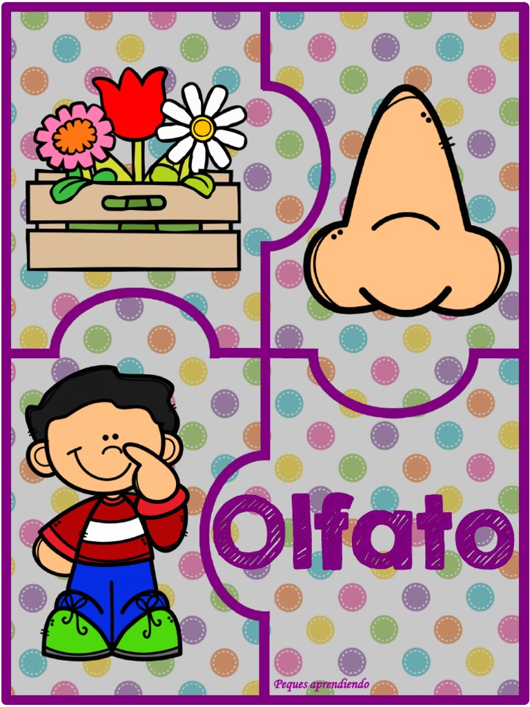 Mis 5 Sentidos | PDF