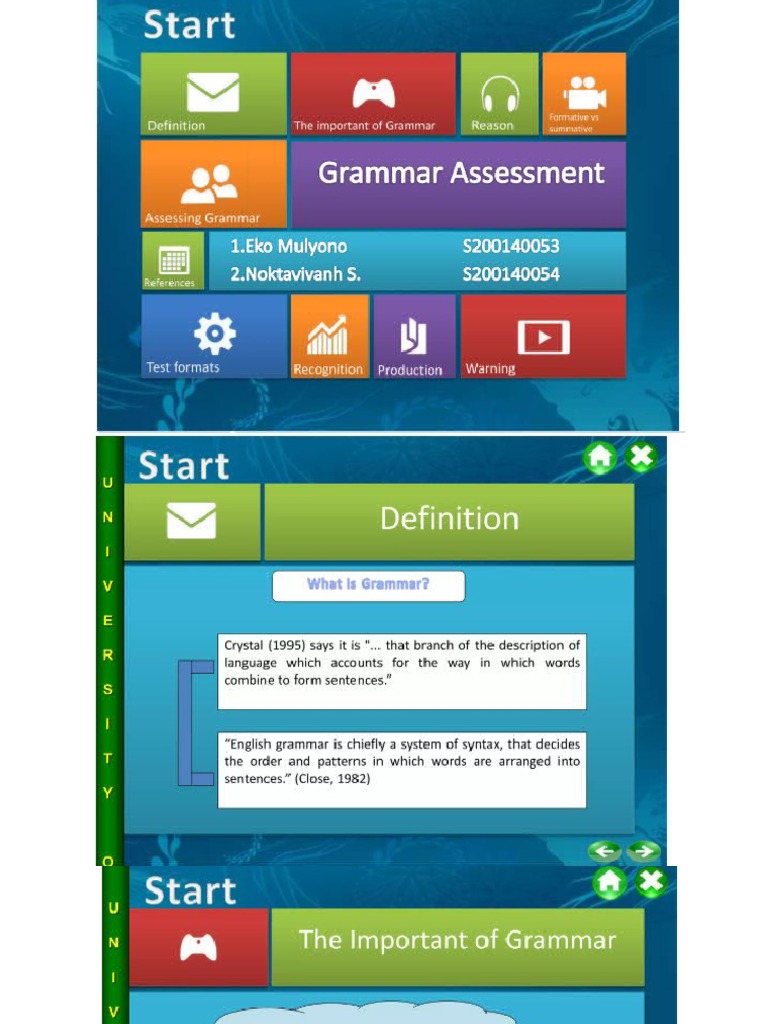 Assessing Grammar | PDF | Educational Assessment | Learning