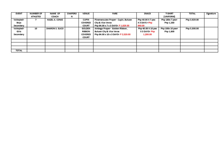 Volleyball Budget Proposal | PDF