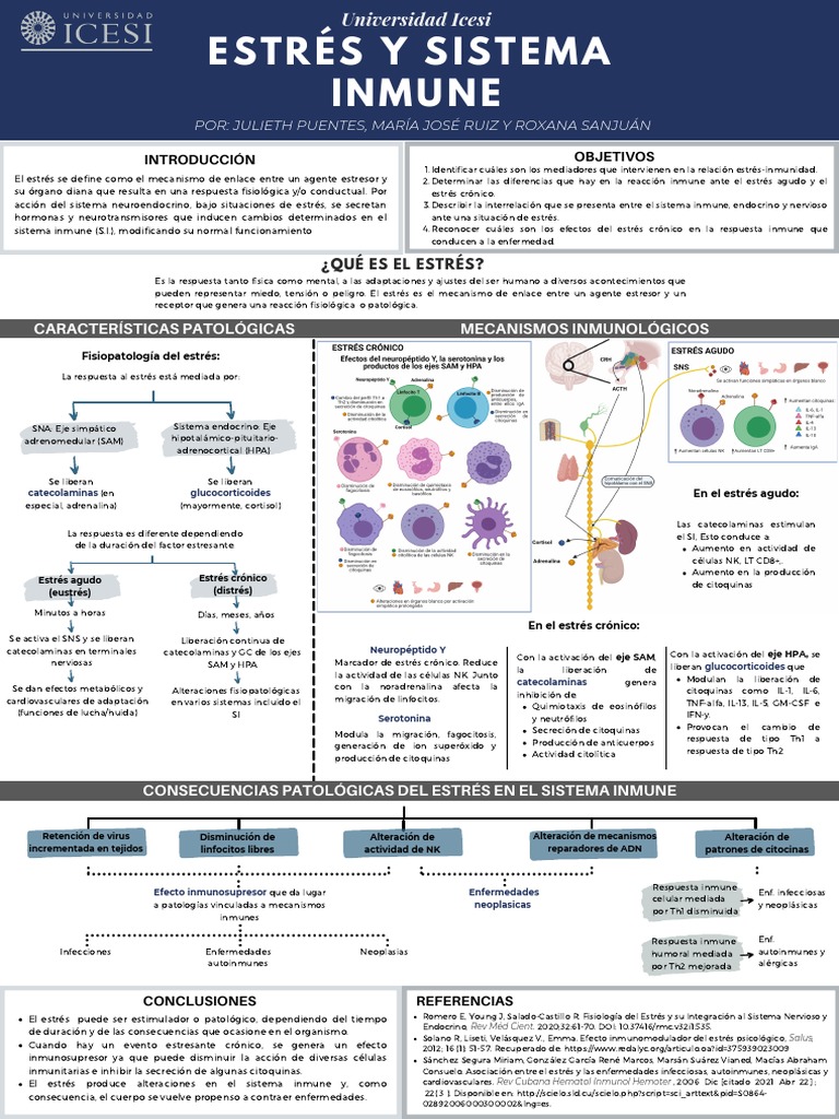 Estrés y Sistema Inmune, Infografía Médica | PDF | Estrés (biología) | Citocina