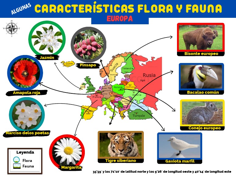 Características de la Flora y Fauna Europea | PDF
