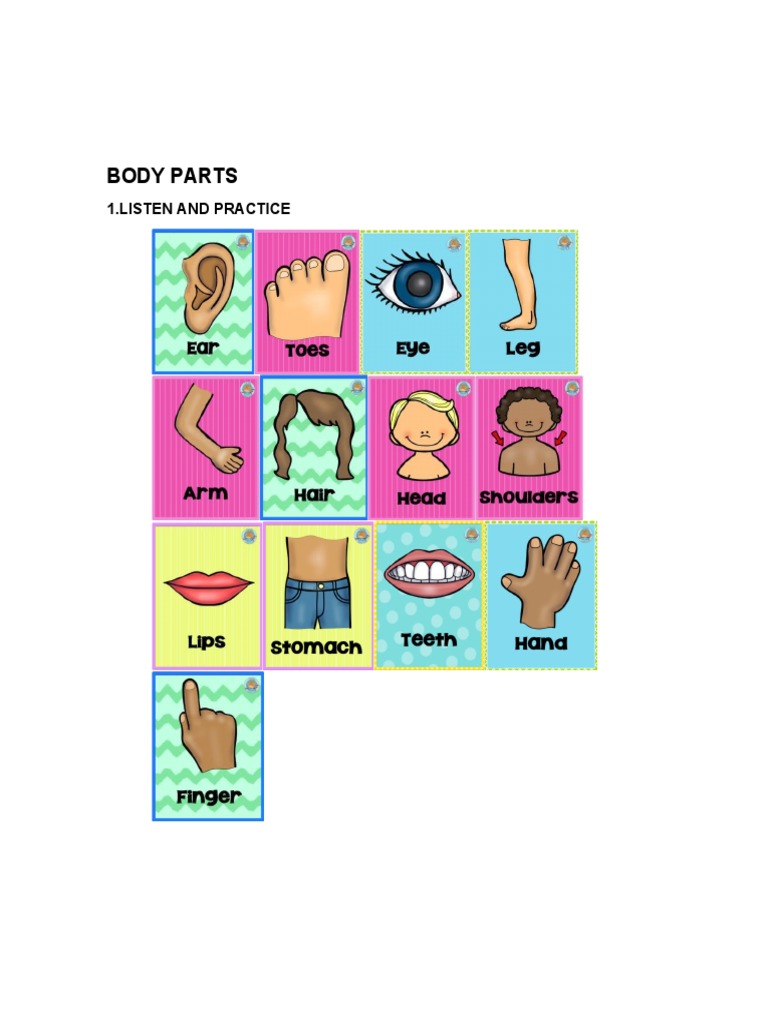 Body Parts | PDF