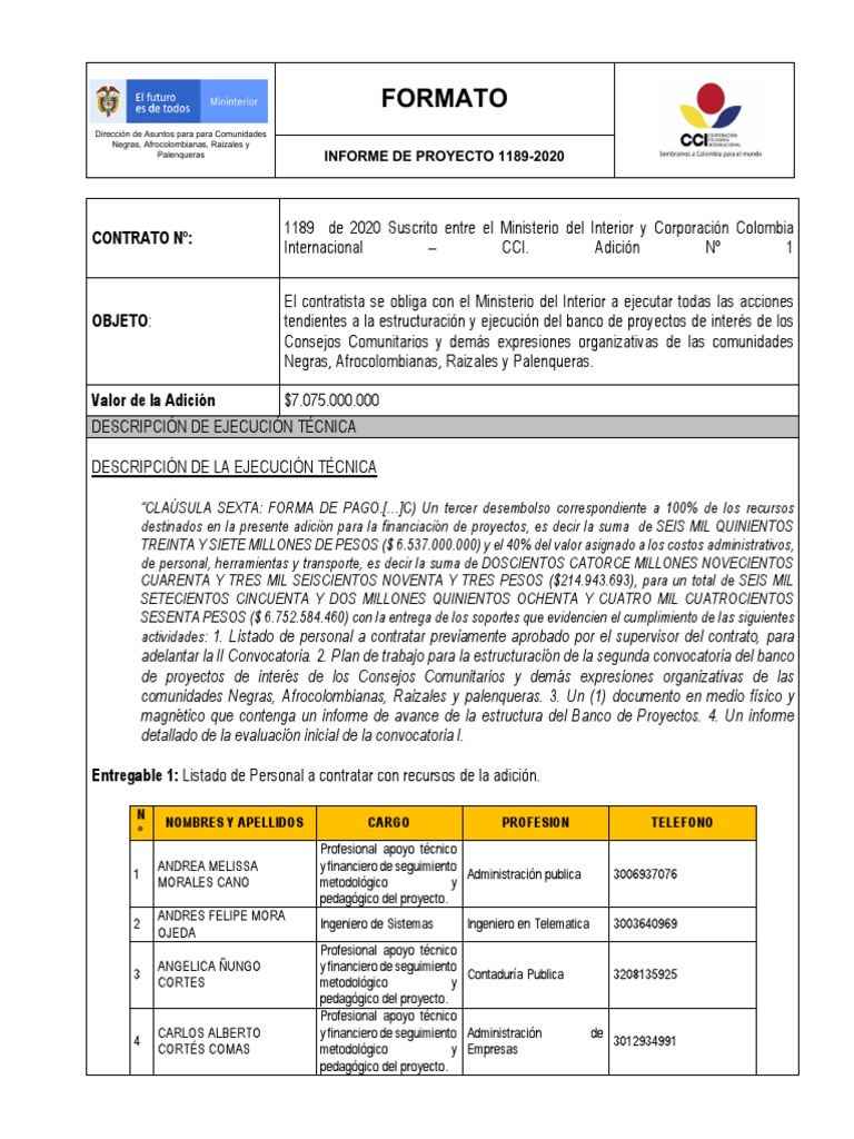 Tercer Informe de Ejecucion Cci | PDF | Informática