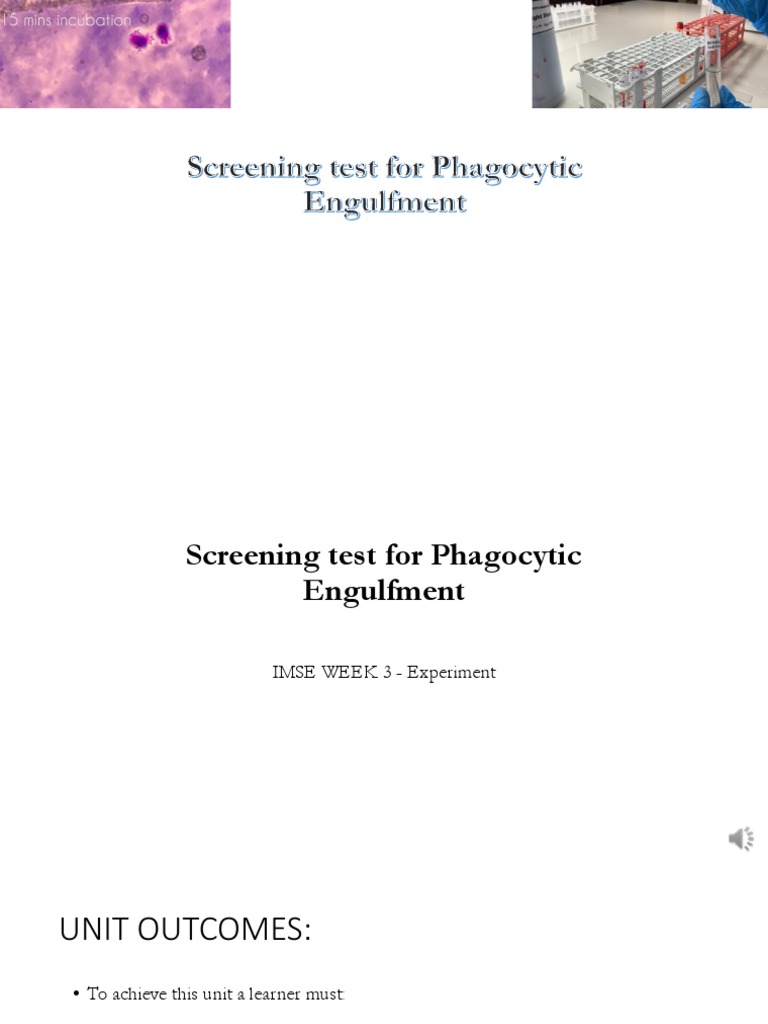 EXPT3-IMSELAB-Screening Test For Phagocytic Engulfment | PDF ...