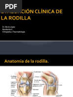 Prueba de Apley en Rodilla | PDF