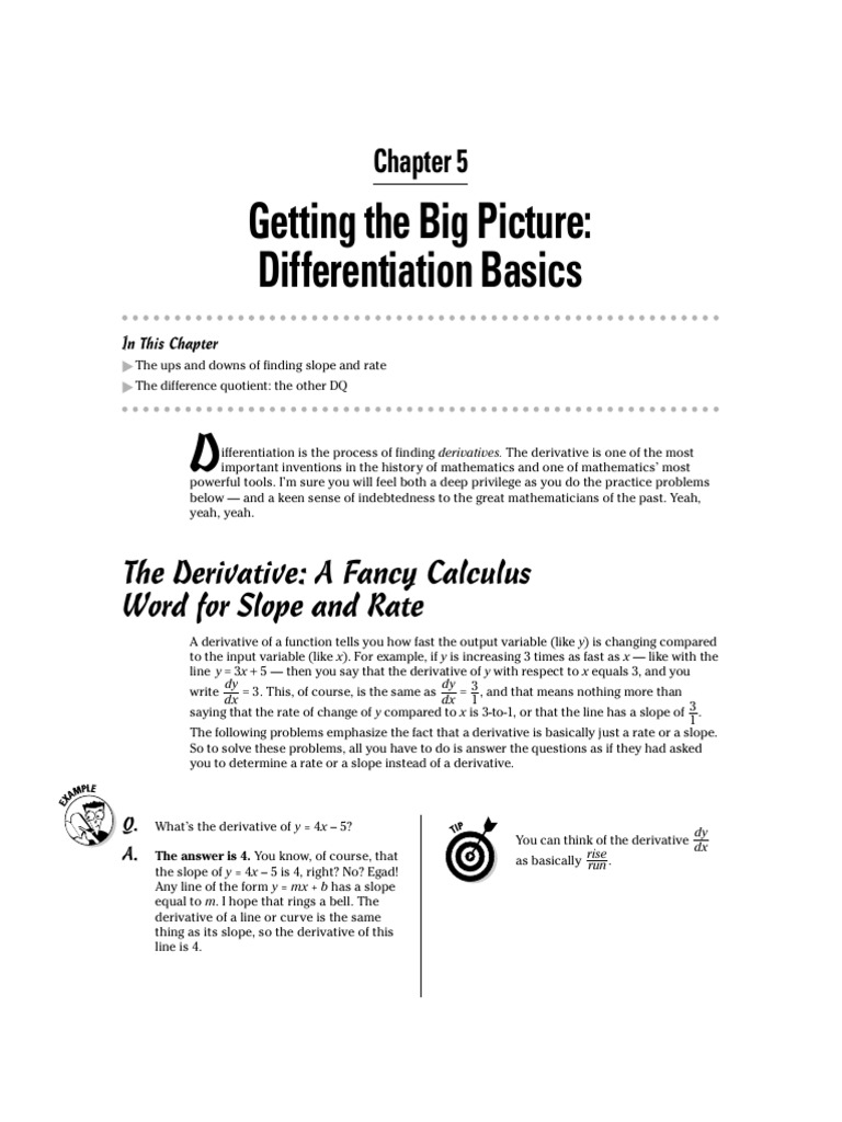 Calculus - Differentiation Basics Problems With Solution | PDF