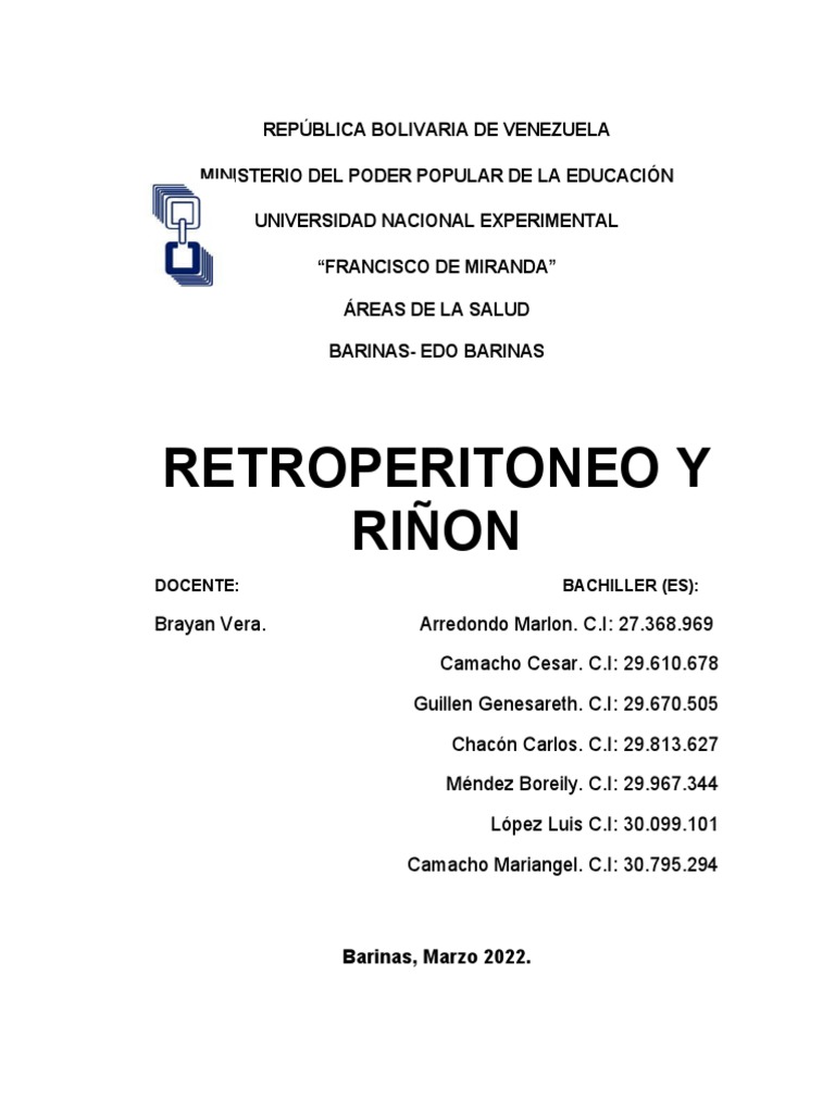 Anatomía del Retroperitoneo y Riñón | PDF | Riñón | Sistema urinario