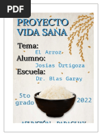 Subproductos del Arroz: Arrocillo y Más | PDF | Arroz | Cereales