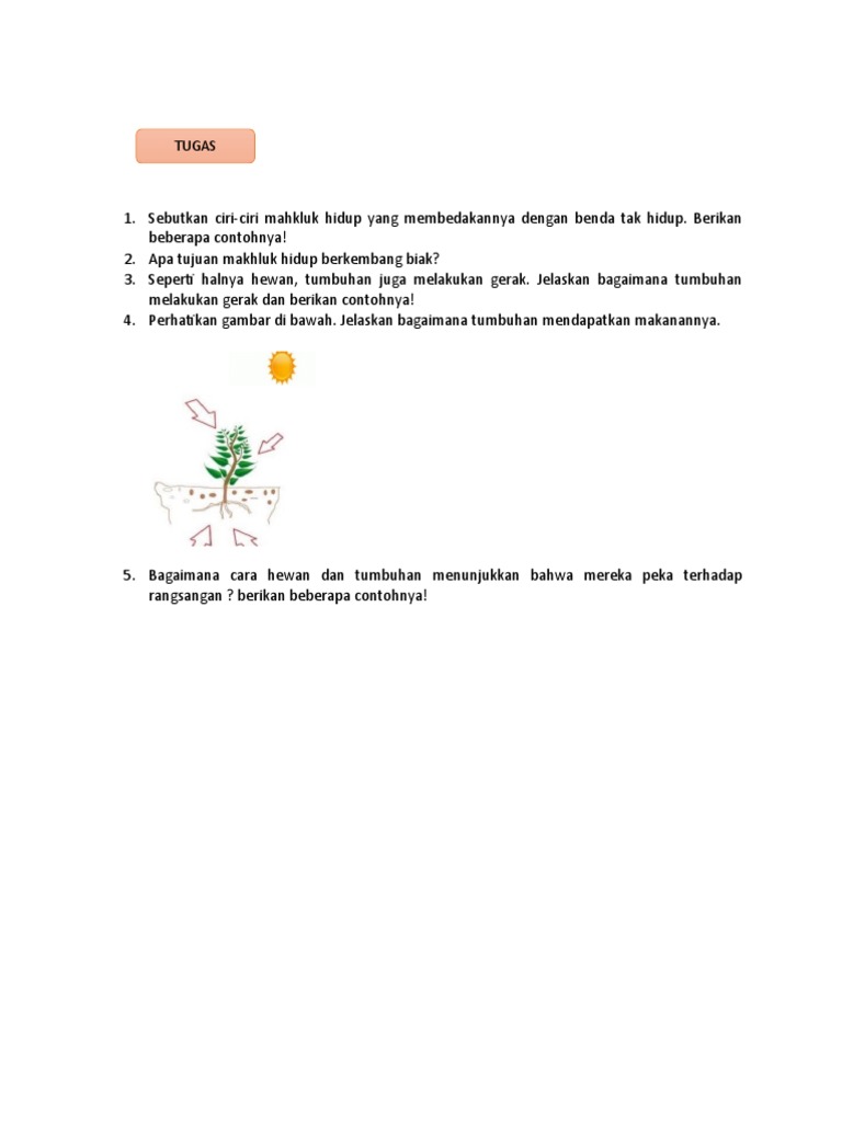 Ciri dan Contoh Makhluk Hidup Peka Rangsang | PDF | Griya & Taman ...