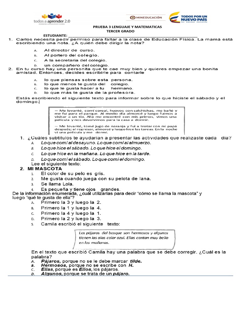 Prueba 3 de Lenguaje y Matematicas 3° | PDF