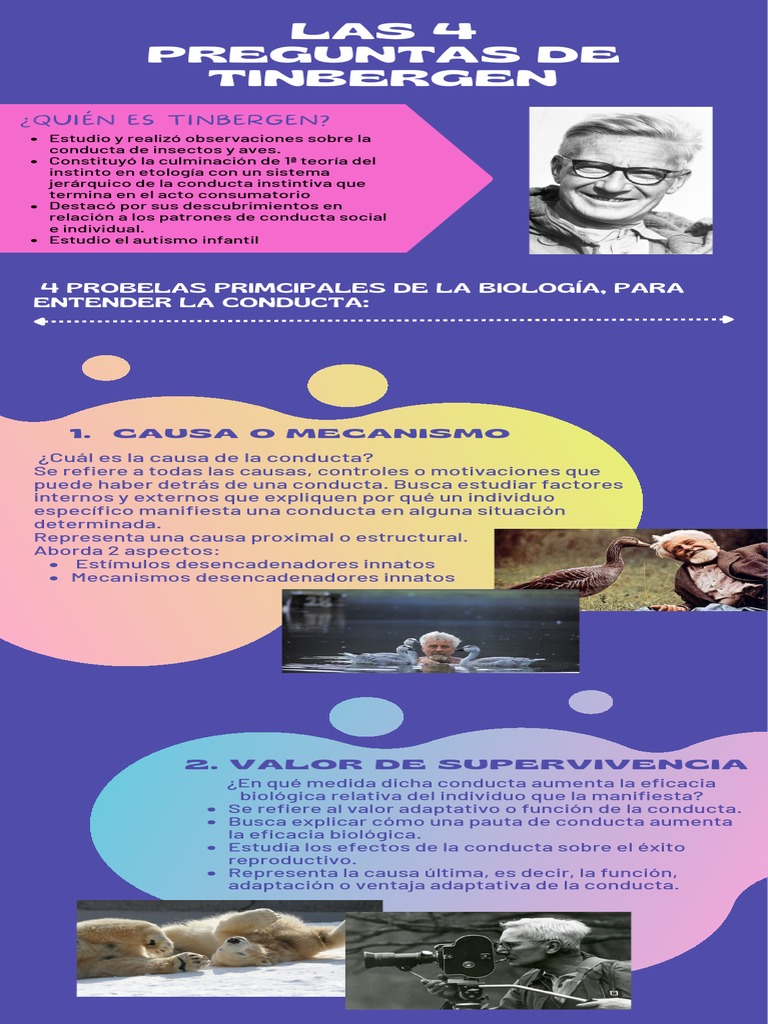 Las 4 Preguntas de Tinbergen | PDF | Comportamiento | Evolución