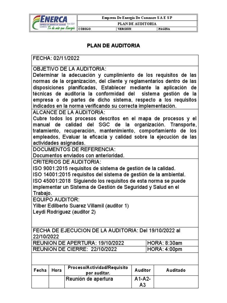 Modelo - Plan de Auditoria Yss | PDF | Auditoría | Calidad (comercial)